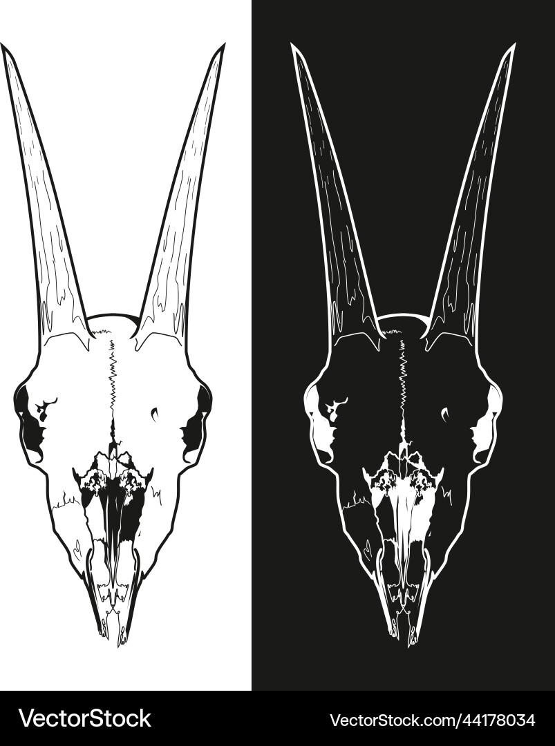 Goat skull Royalty Free Vector Image - VectorStock