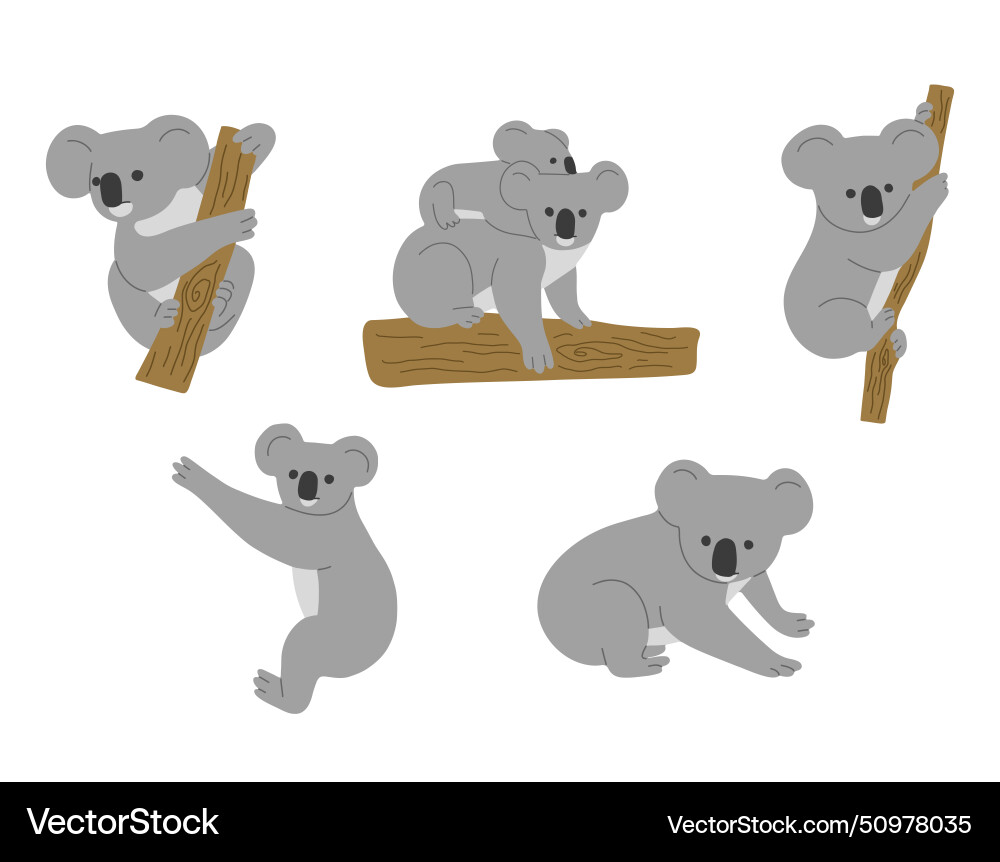 Koala 1 Royalty Free Vector Image - VectorStock