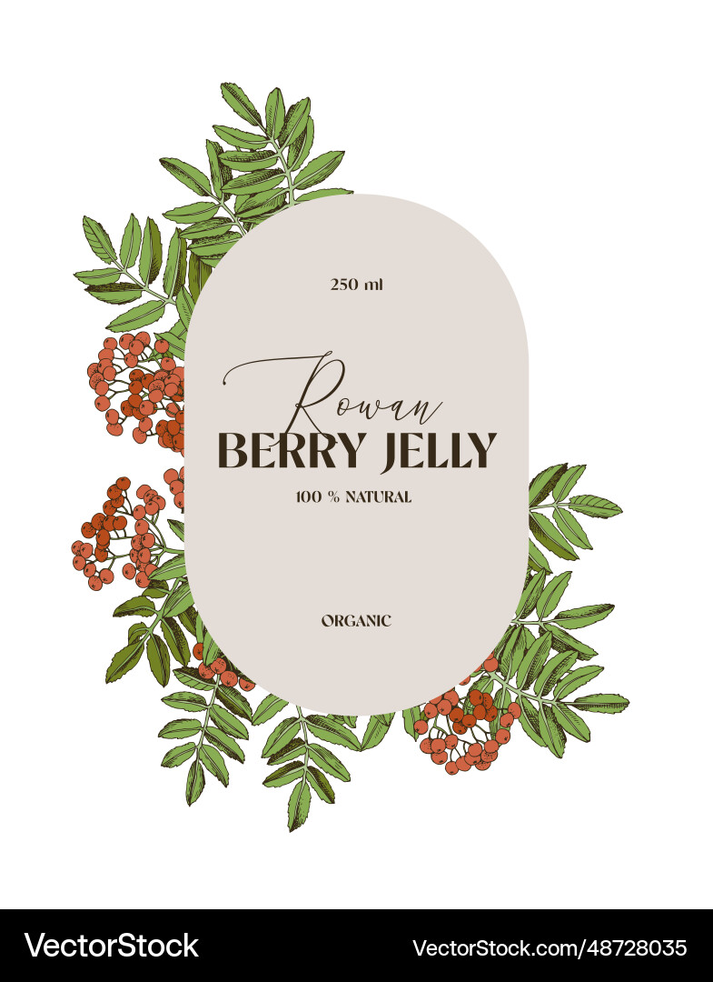 Rowan berry jelly label template Royalty Free Vector Image