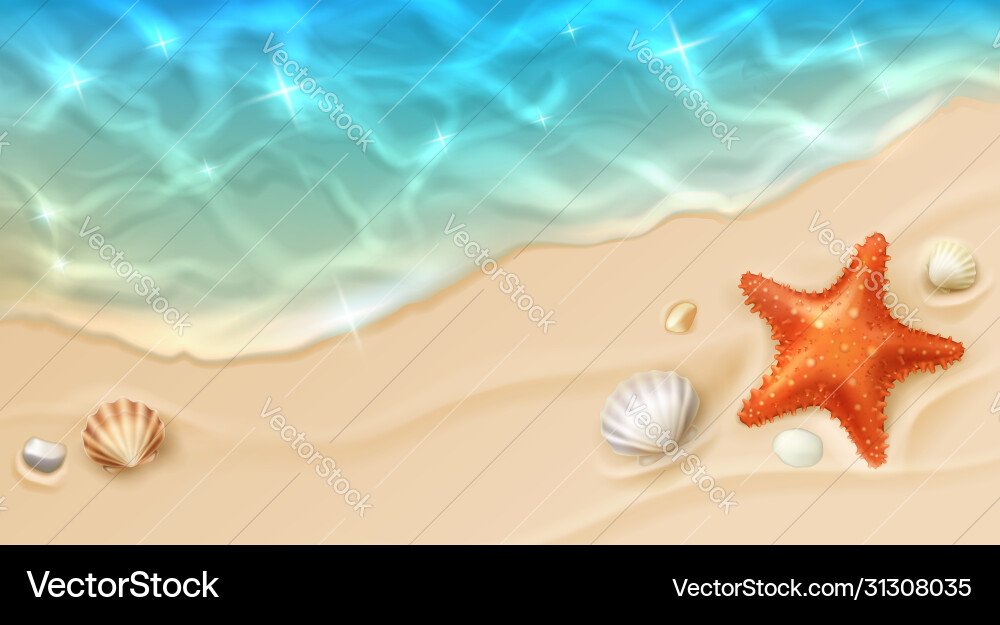 Sea cost with ocean wave and shells on sand Vector Image
