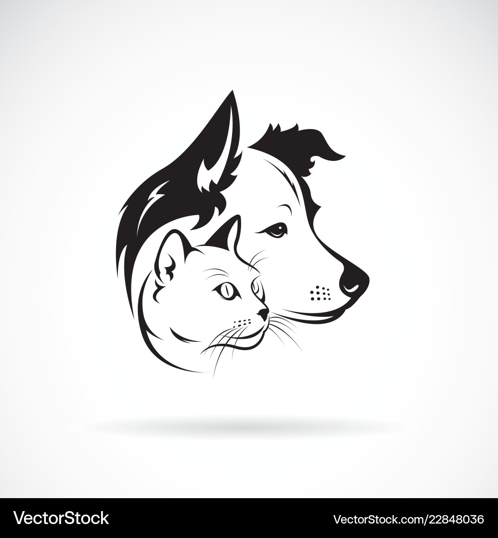 Dog and cat head design on a white background Vector Image