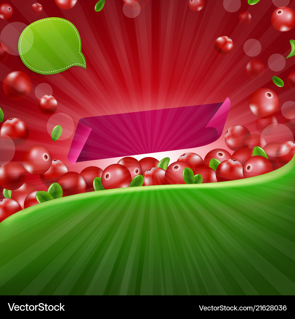 Red cranberry border poster Royalty Free Vector Image