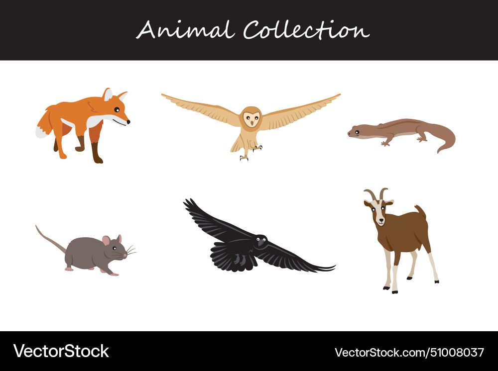 Animals collection isolated on white background Vector Image