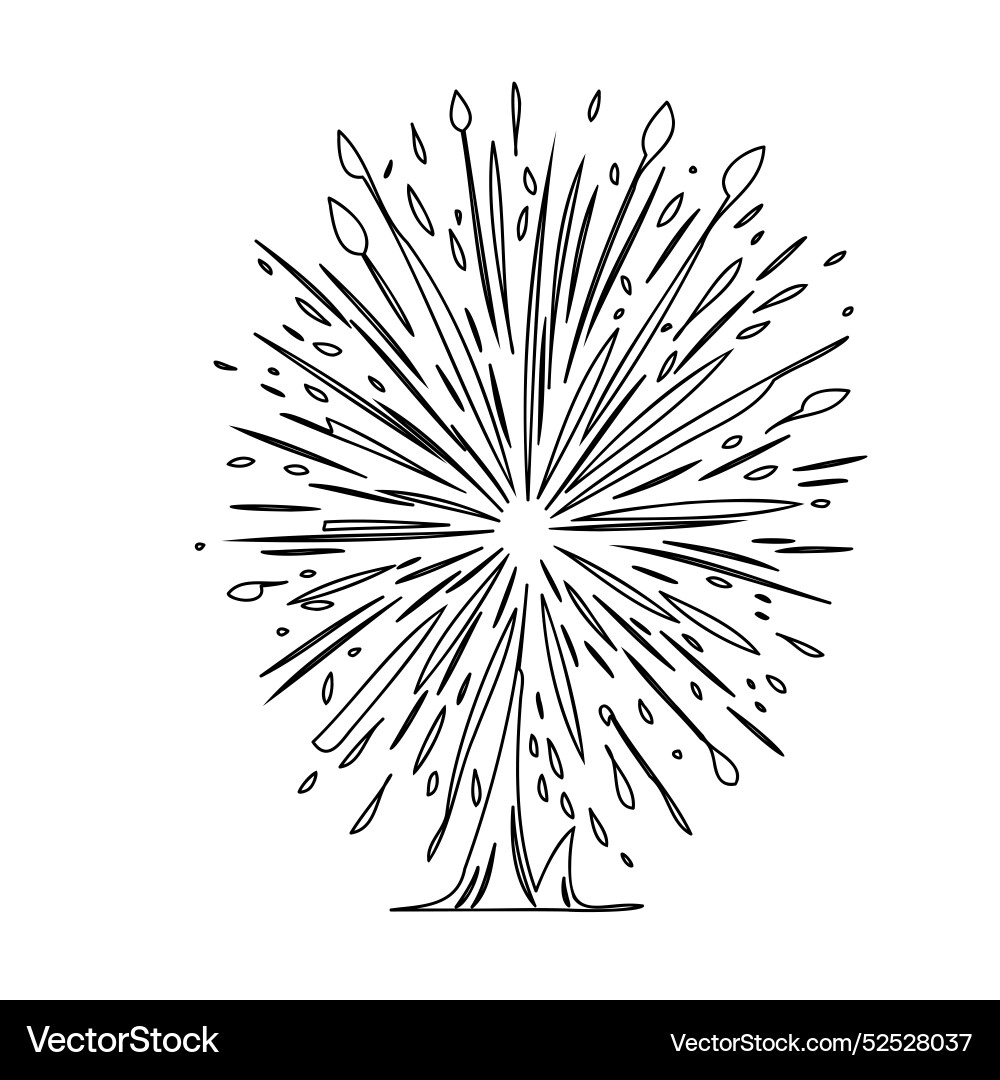 Celebration fireworks splash outline sketch Vector Image