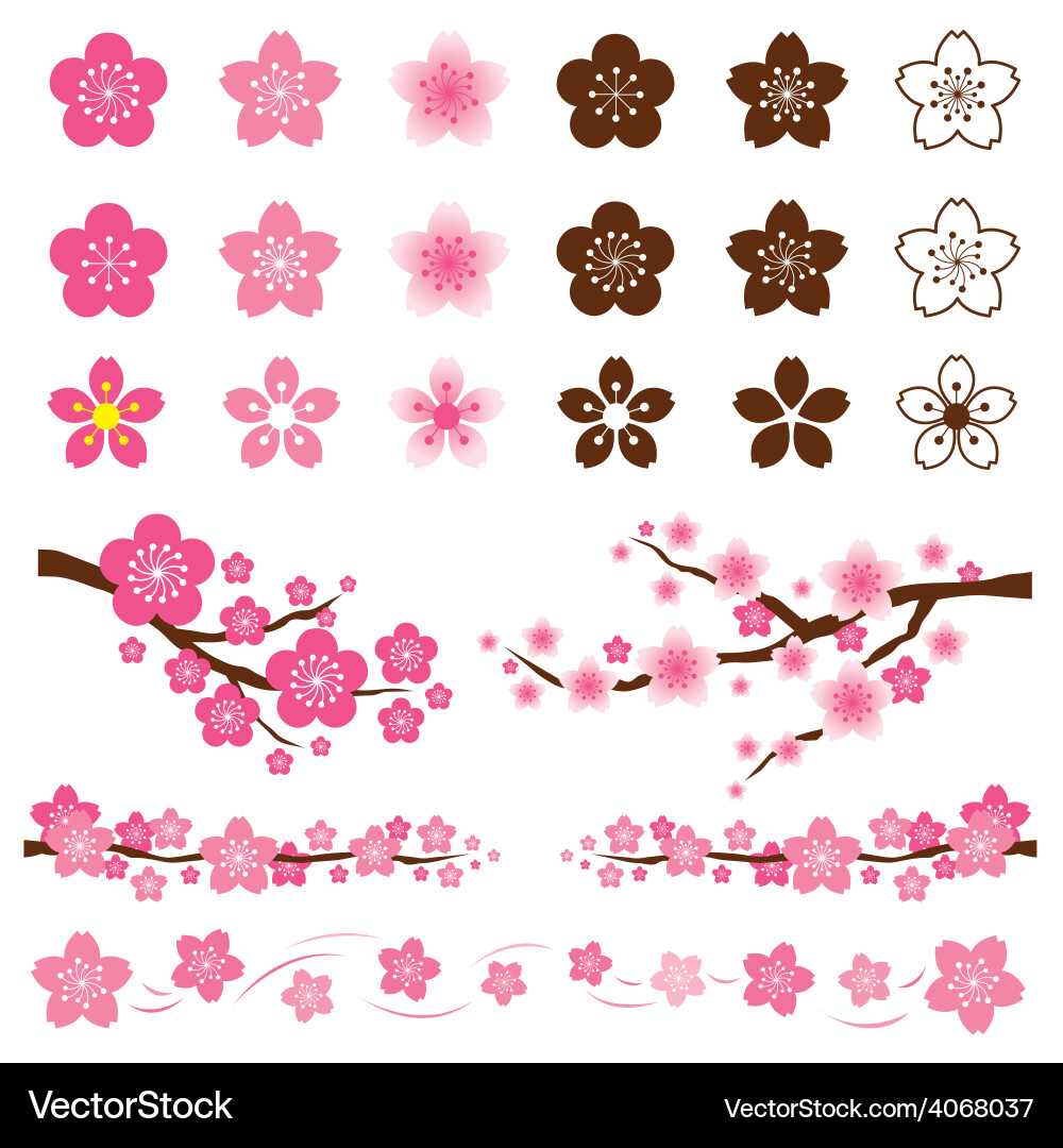 Sakura Border Vector Images (over 2,600)