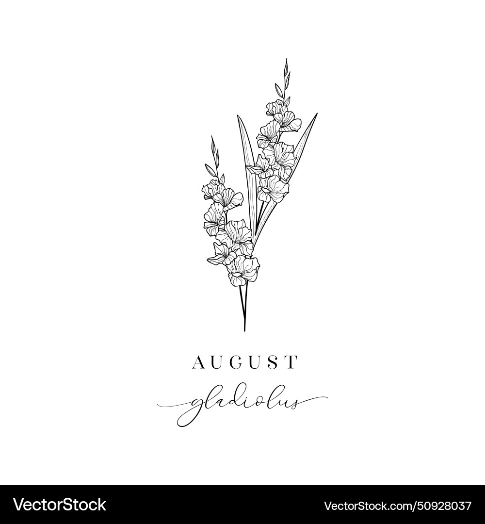 August Birth Flower Vector Images (46)