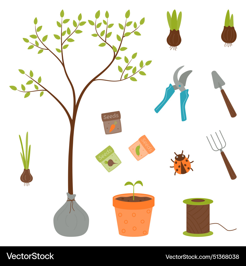 A set for planting plants - seeds seedlings Vector Image
