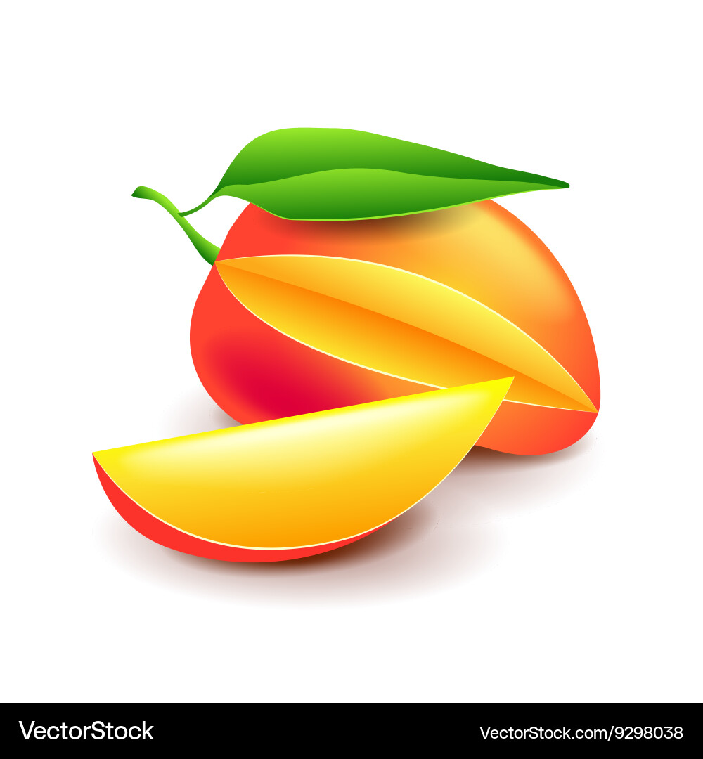 Mango isolated on white Royalty Free Vector Image