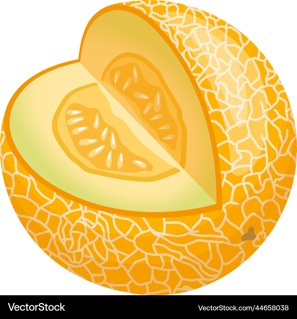 Melon yellow cartoon Royalty Free Vector Image