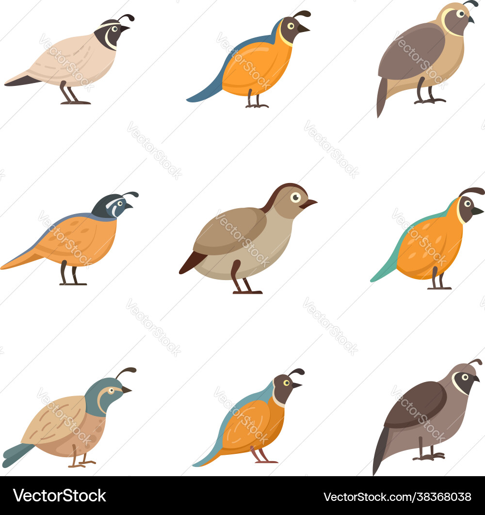 Quail icons set flat isolated Royalty Free Vector Image