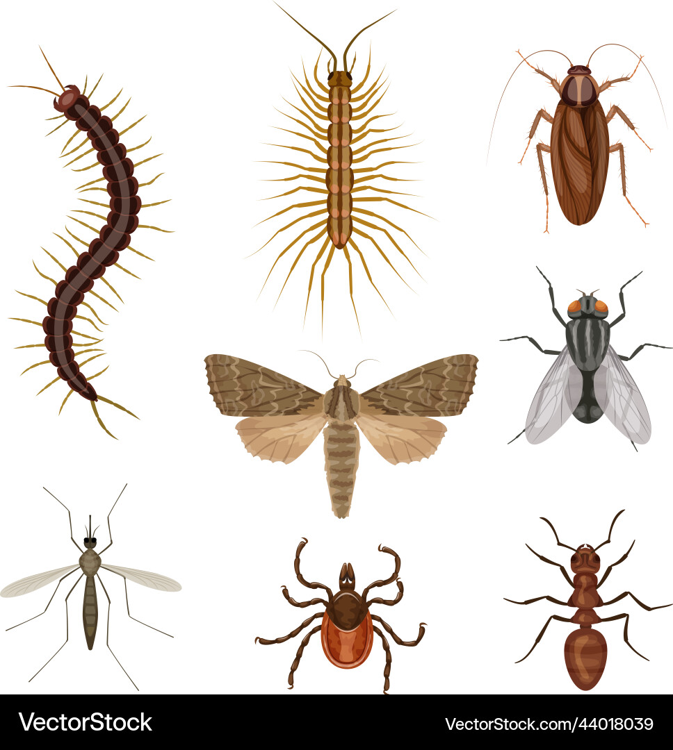 Harmful insects cartoon icon set Royalty Free Vector Image