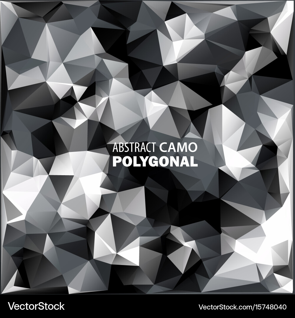 Abstract military camouflage background made Vector Image