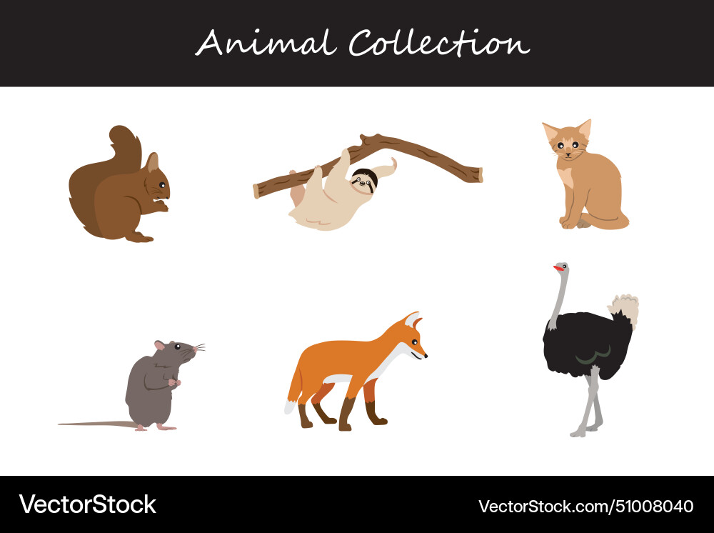 Animals collection isolated on white background Vector Image