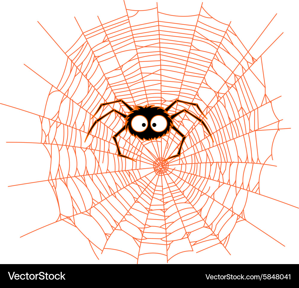 Spider Royalty Free Vector Image - VectorStock