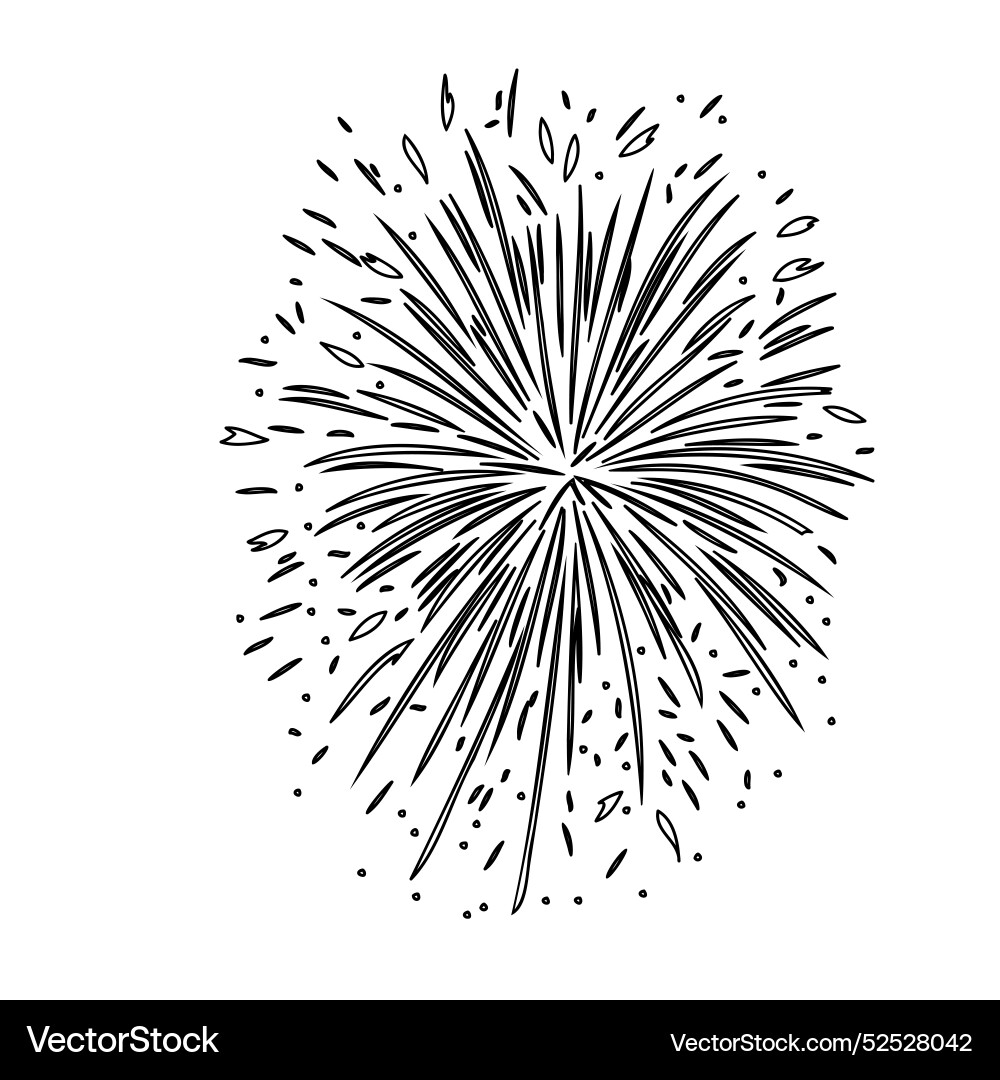 Celebration fireworks splash outline sketch Vector Image