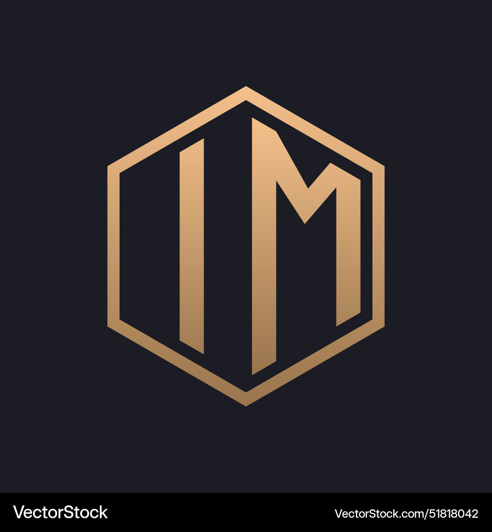 Elegant hexagon letter im logo design initial Vector Image