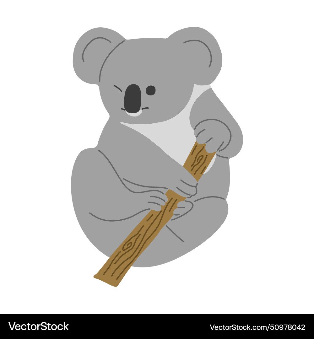 Koala single 12 Royalty Free Vector Image - VectorStock