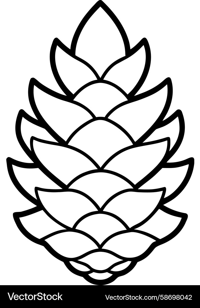 Pinecone line art graphic Royalty Free Vector Image