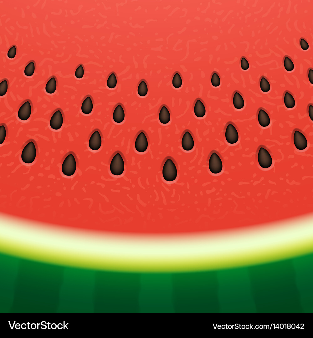 Watermelon Slice Texture Royalty Free Vector Image
