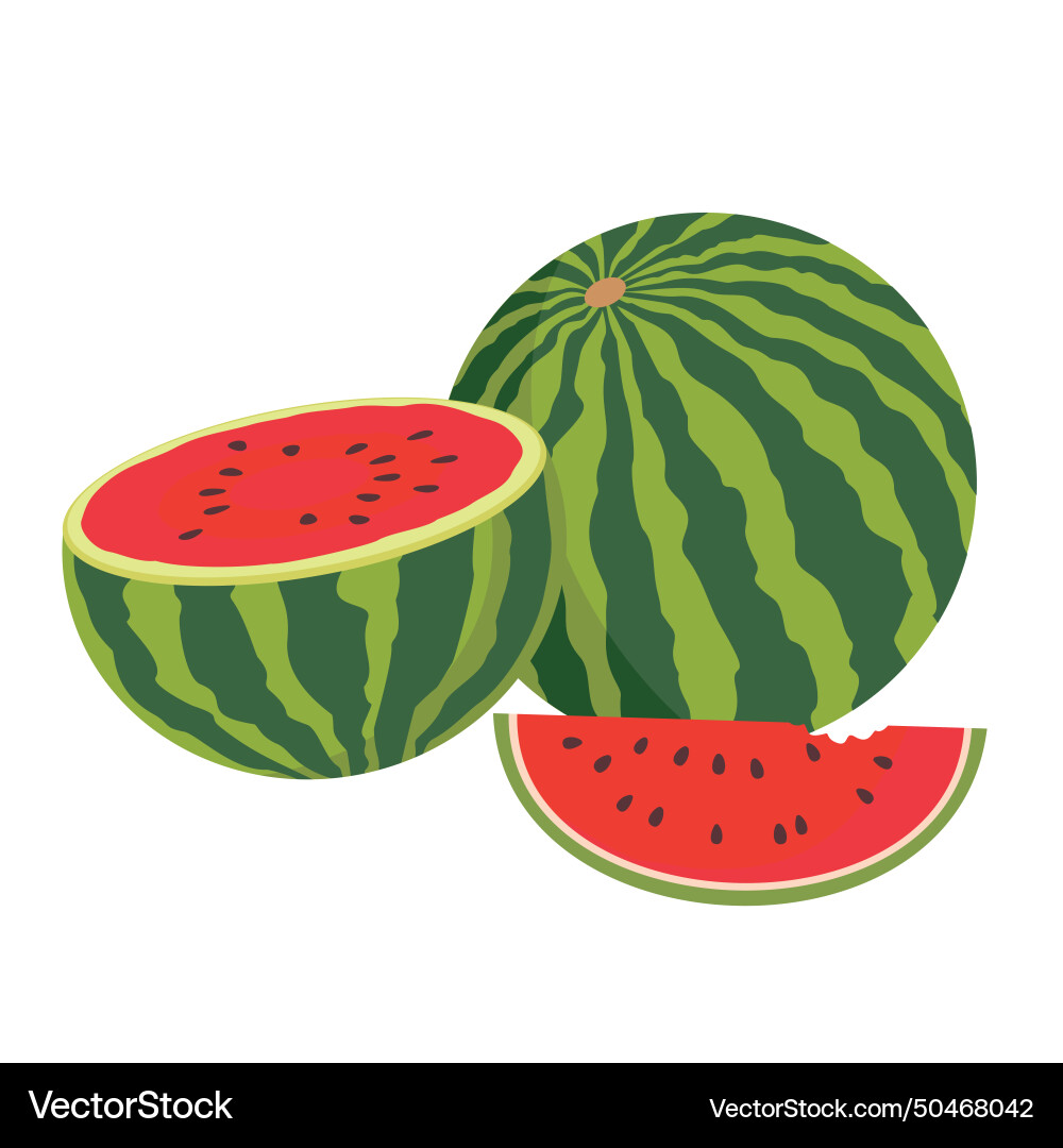 Watermelon whole half Royalty Free Vector Image