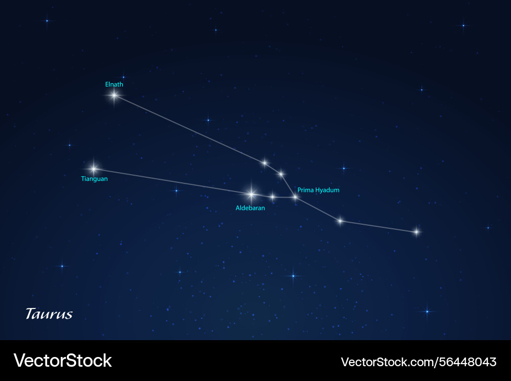 Taurus constellation with star names in night sky Vector Image