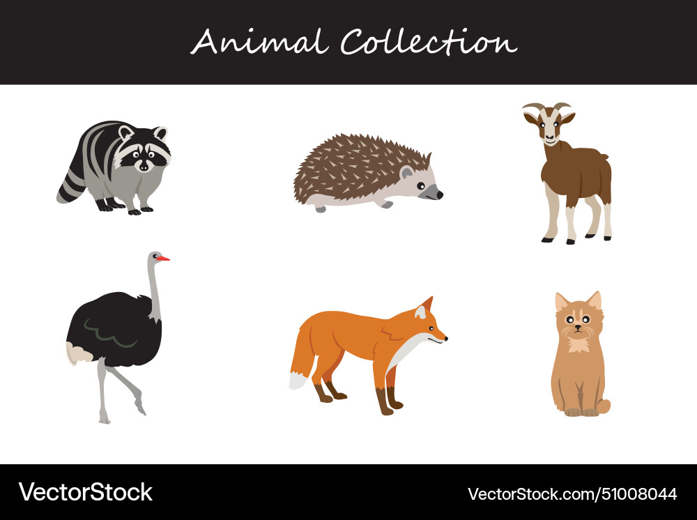 Animals collection isolated on white background Vector Image