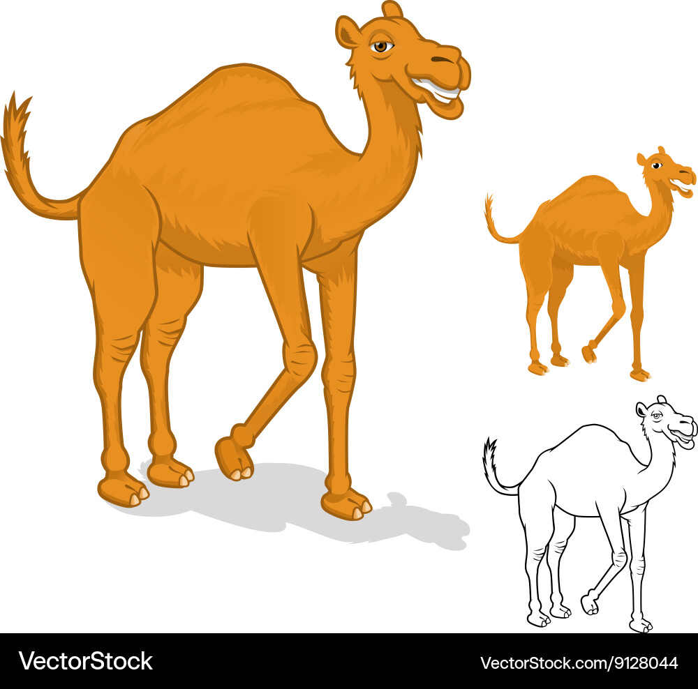 Camel cartoon character Royalty Free Vector Image