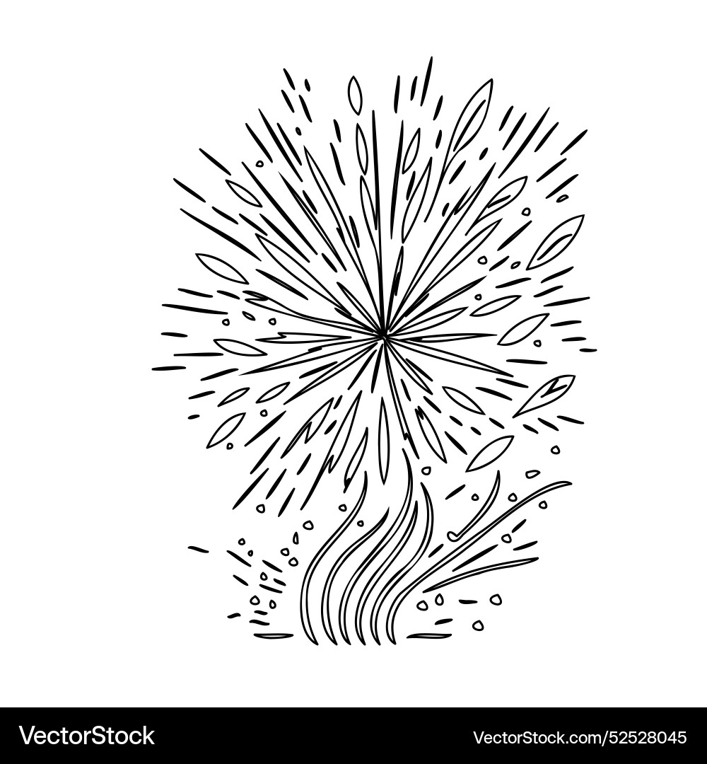 Celebration fireworks splash outline sketch Vector Image