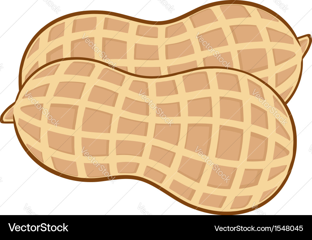 Peanut cartoon Royalty Free Vector Image - VectorStock