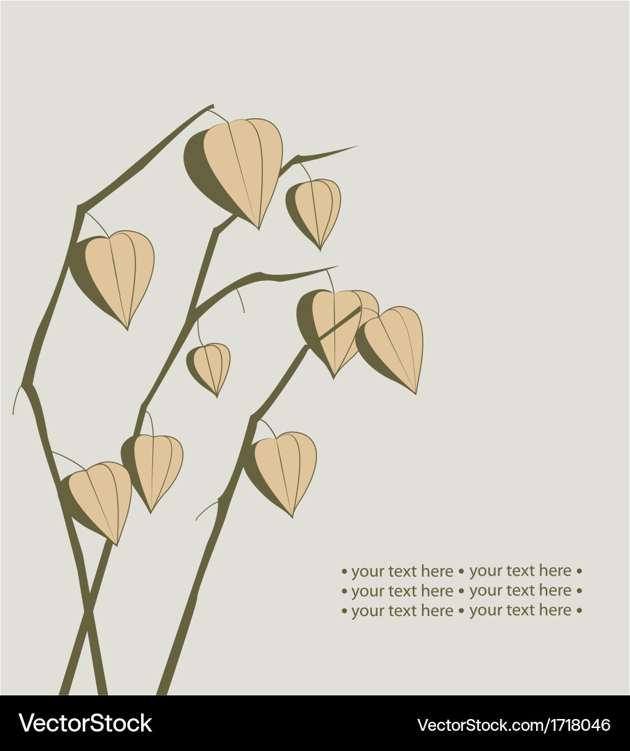 Decoration with physalis branches Royalty Free Vector Image