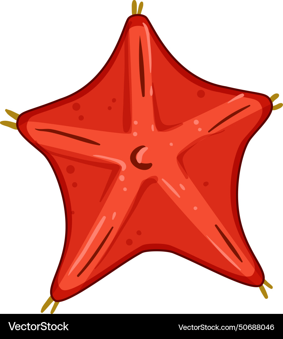 Twilight sea star cartoon Royalty Free Vector Image