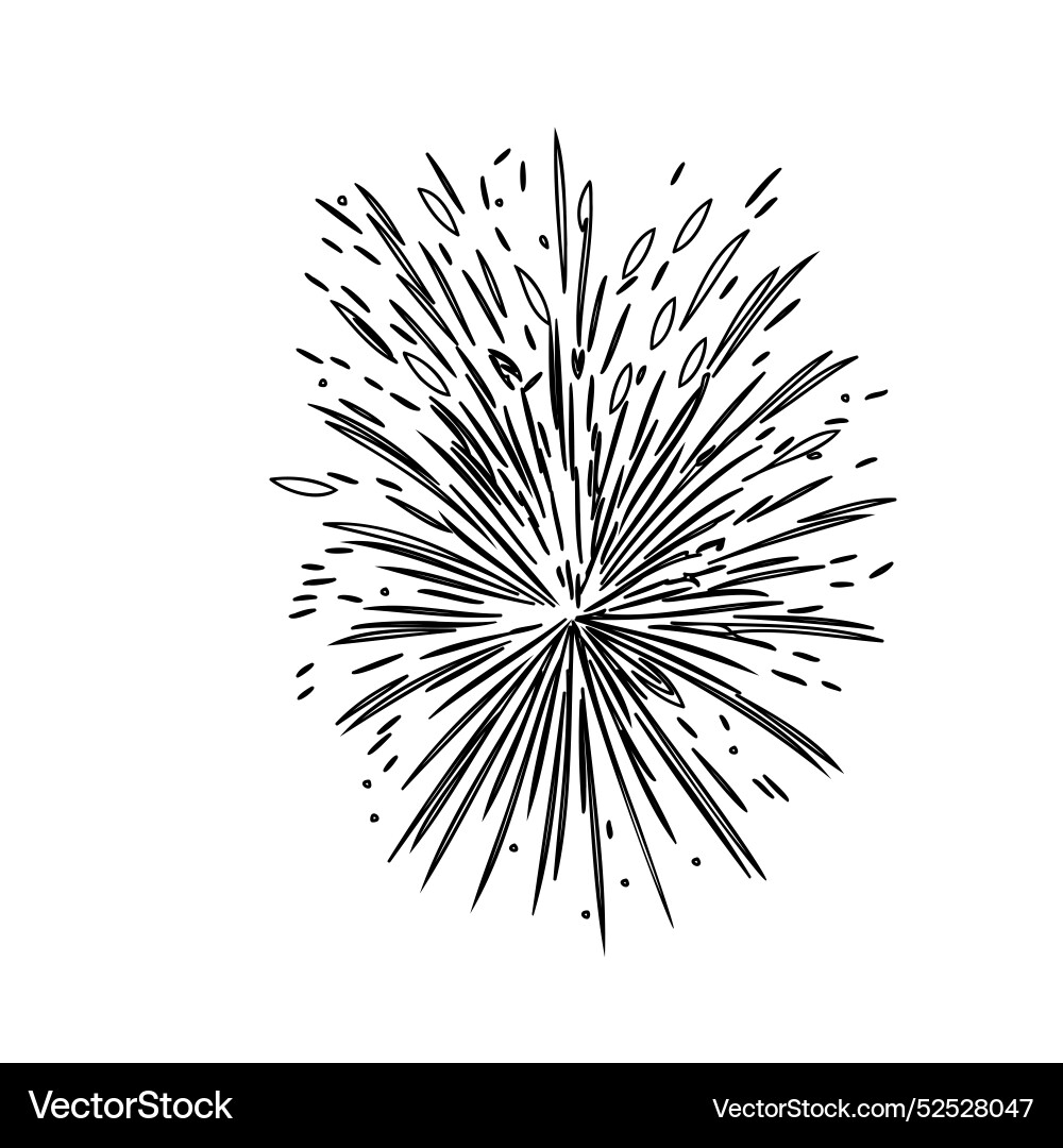 Celebration fireworks splash outline sketch Vector Image