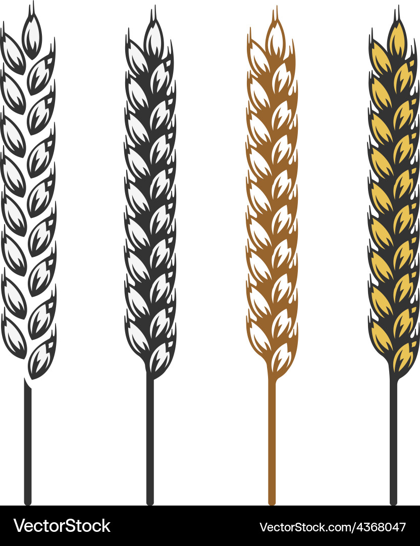 Wheat barley rye bread craft bakery icon Vector Image