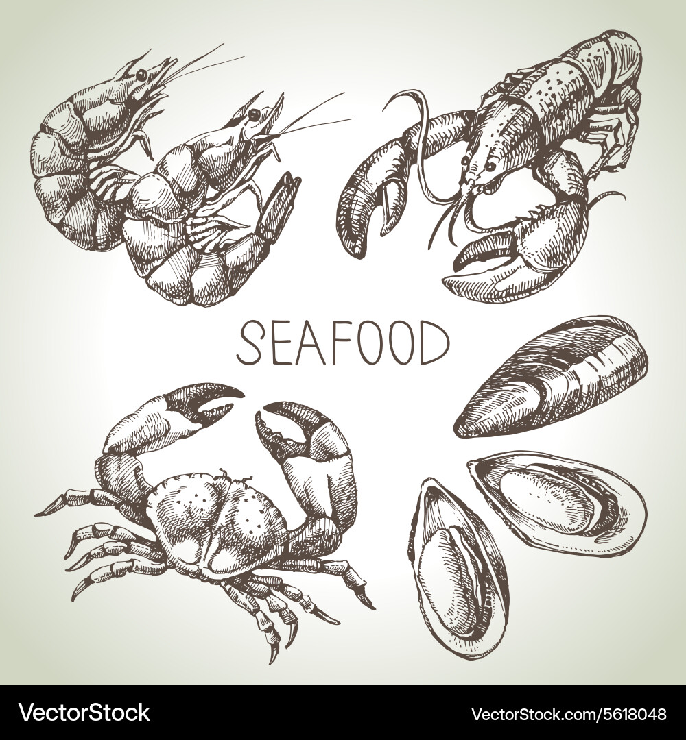 Hand drawn sketch set of seafood Royalty Free Vector Image