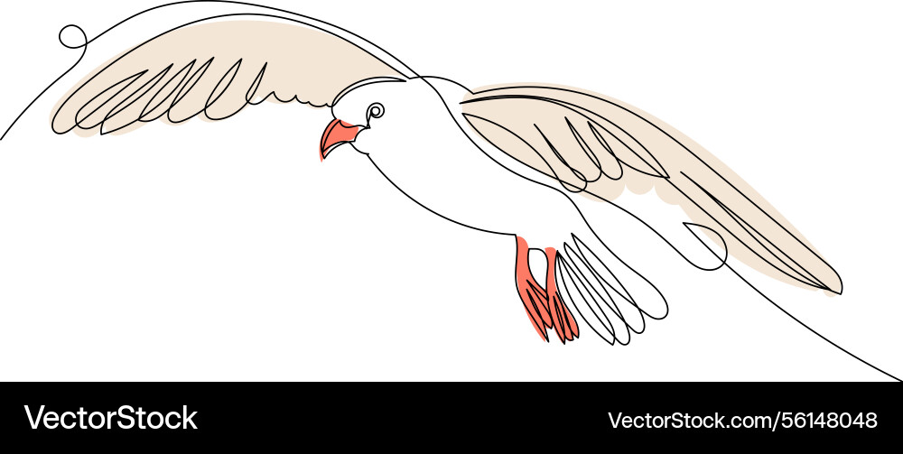 Seagull flying continuous line drawing on white Vector Image