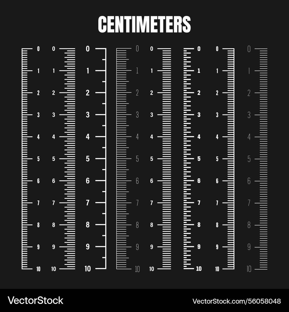 Vertical centimeter scale for measuring length Vector Image