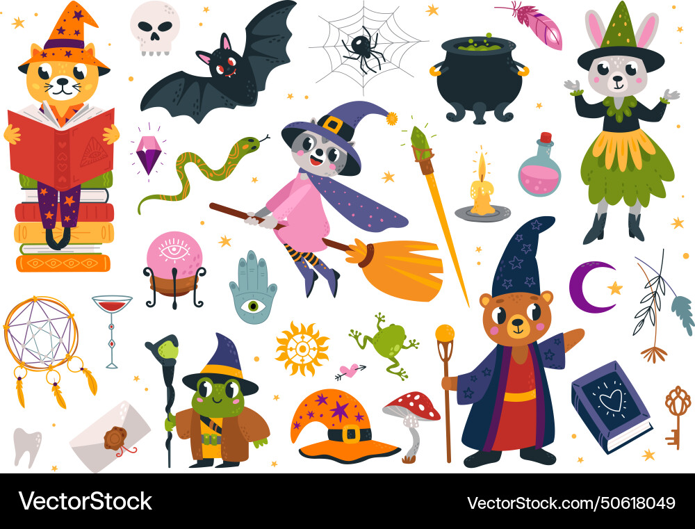 Animals wizards with magic tools witches on broom Vector Image