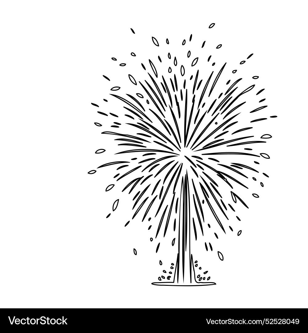Celebration fireworks splash outline sketch Vector Image