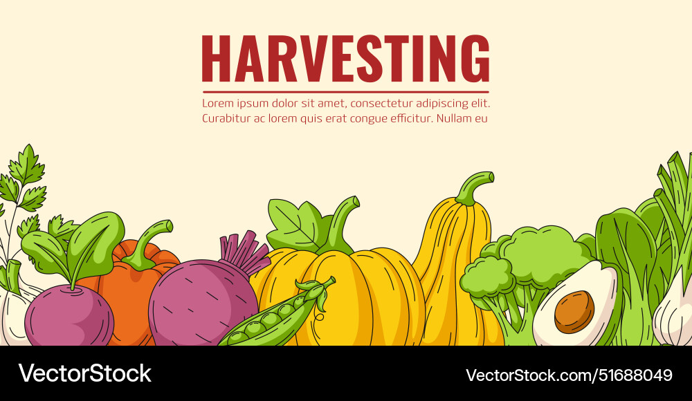 Harvesting vegetables horizontal colorful banner Vector Image
