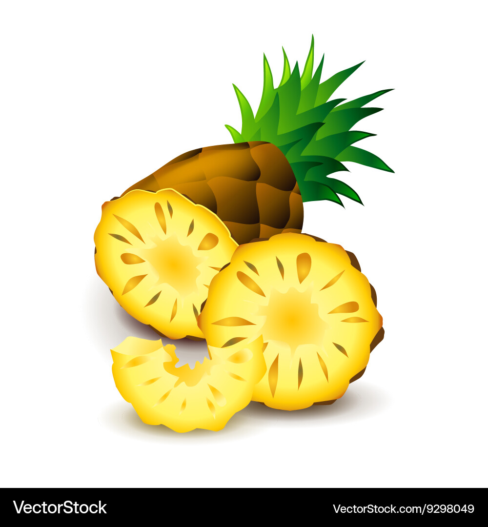 Pineapple isolated on white Royalty Free Vector Image