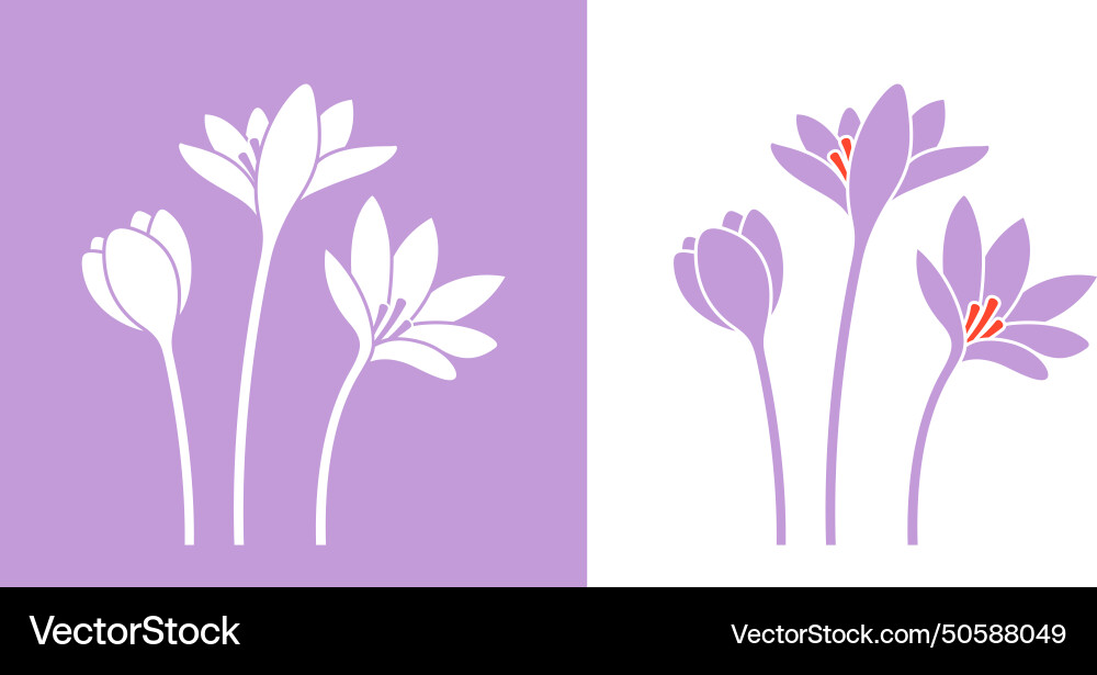Saffron Royalty Free Vector Image - VectorStock