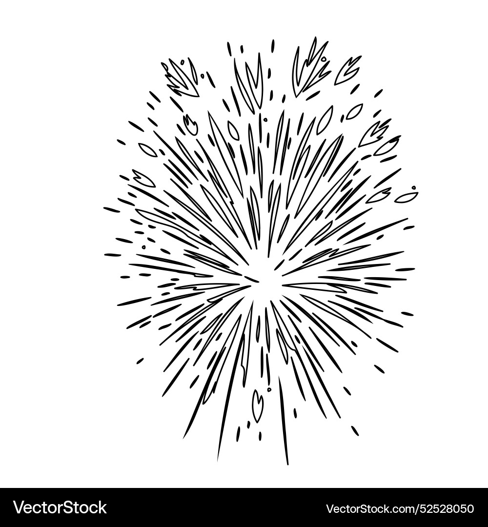 Celebration fireworks splash outline sketch Vector Image