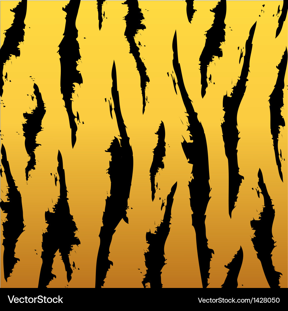 Tiger pattern Royalty Free Vector Image - VectorStock