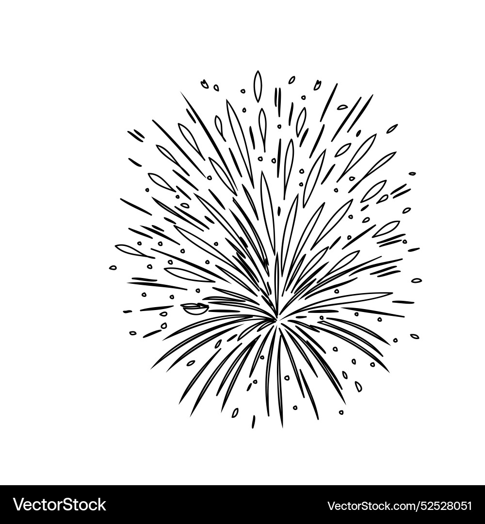 Celebration fireworks splash outline sketch Vector Image