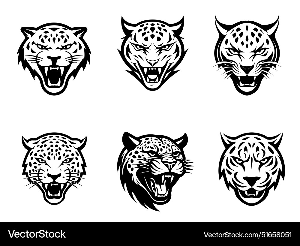 Cheetah head on white background wild animals Vector Image
