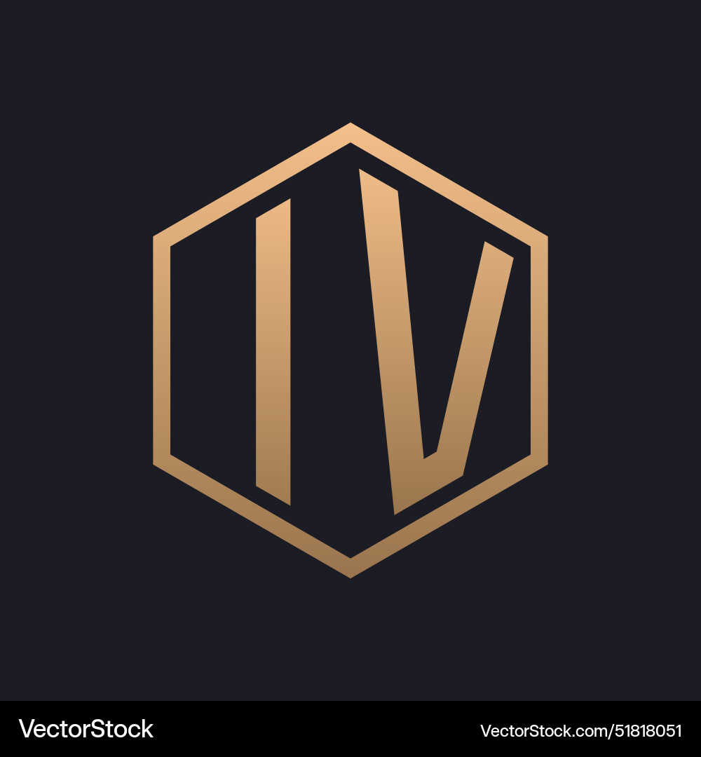 Elegant hexagon letter iv logo design initial Vector Image