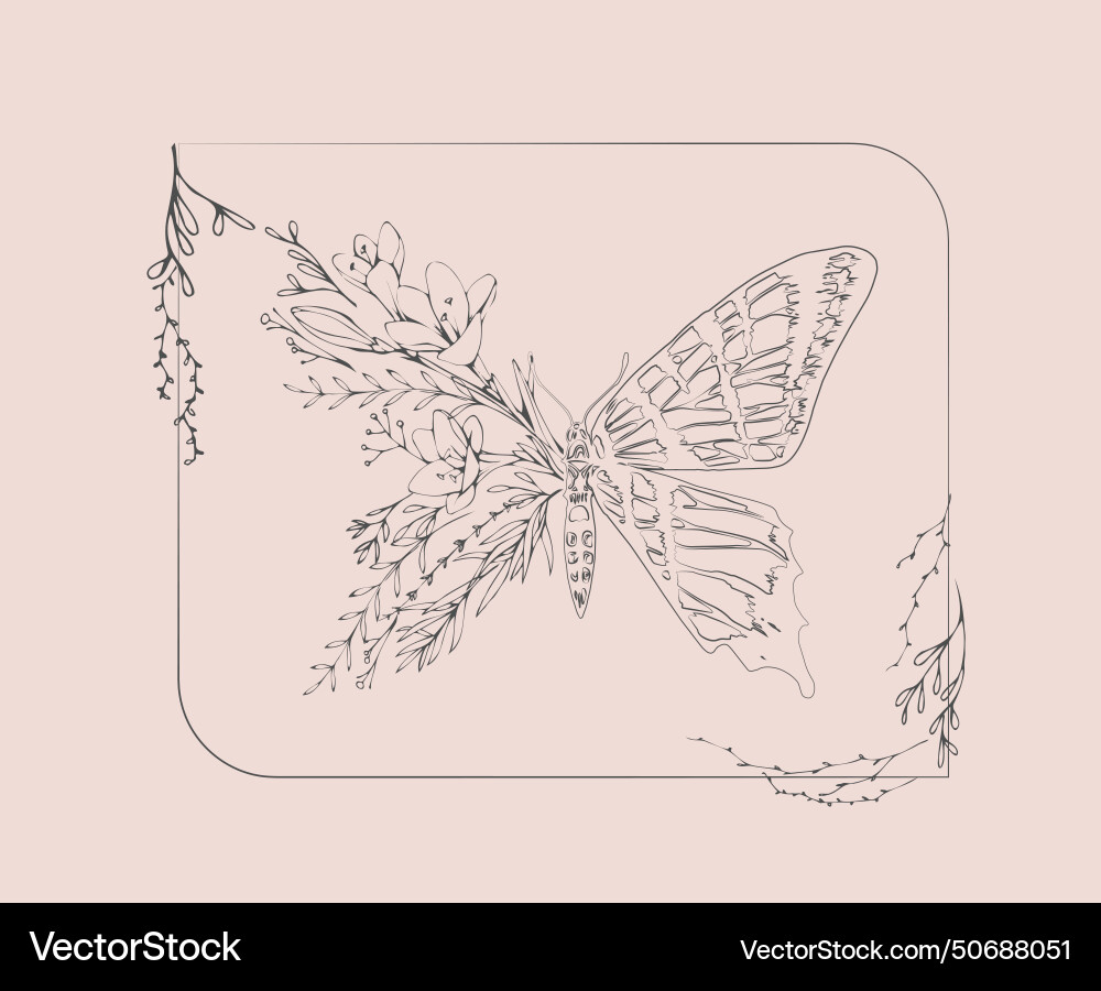 Half shape butterfly with branch and flowers Vector Image