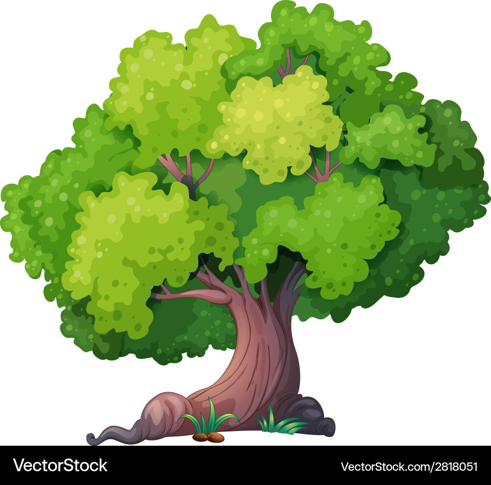 Tree Royalty Free Vector Image - VectorStock