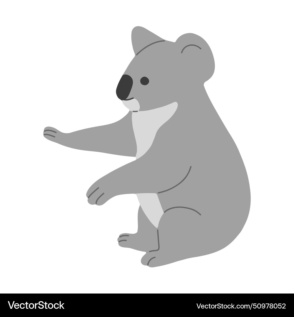Koala single 8 Royalty Free Vector Image - VectorStock