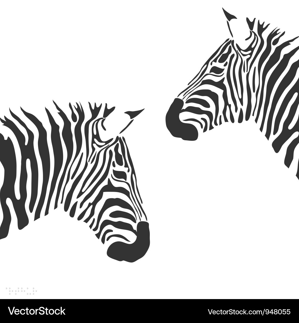 Zebra Royalty Free Vector Image - VectorStock